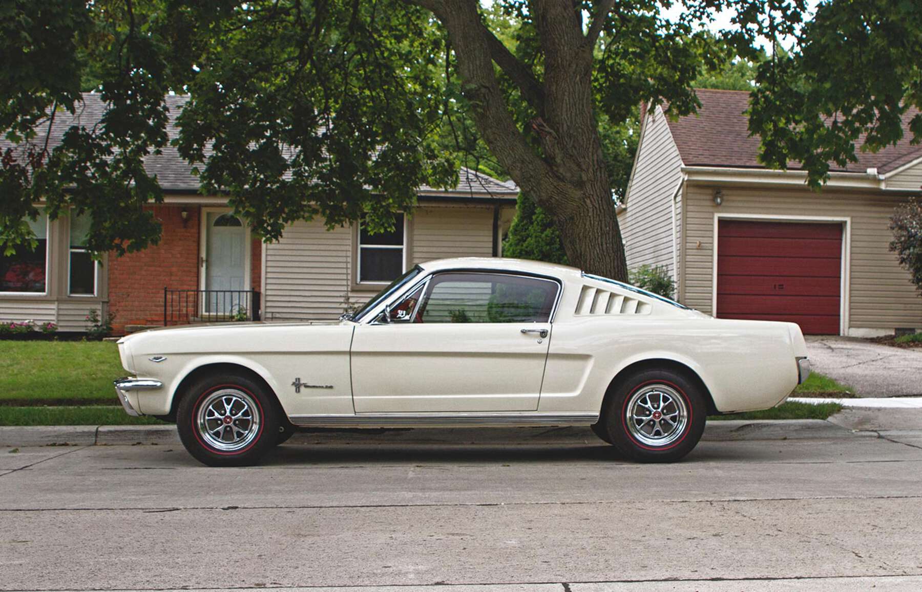 Green Tech Supply – Una mirada simple a la tecnología